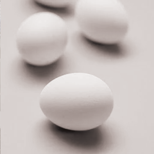 IgY resource center – SPARK Stanford