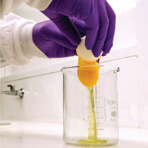 IgY resource center – SPARK Stanford