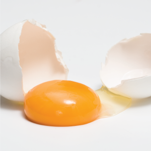 IgY resource center – SPARK Stanford