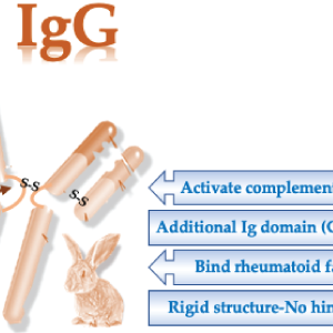 IgY resource center – SPARK Stanford