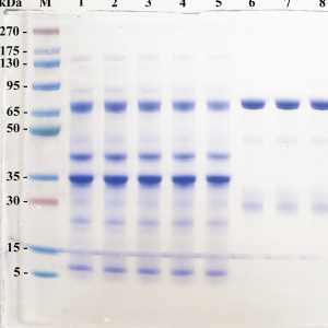 IgY resource center – SPARK Stanford