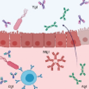 IgY resource center – SPARK Stanford