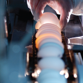 IgY resource center – SPARK Stanford